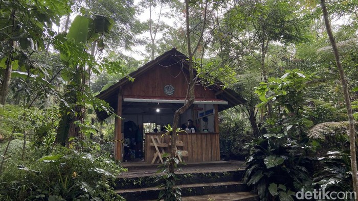 Pesona Tankaman Natural Park, Aktivitas Seru dengan Pemandangan Bukit Hijau