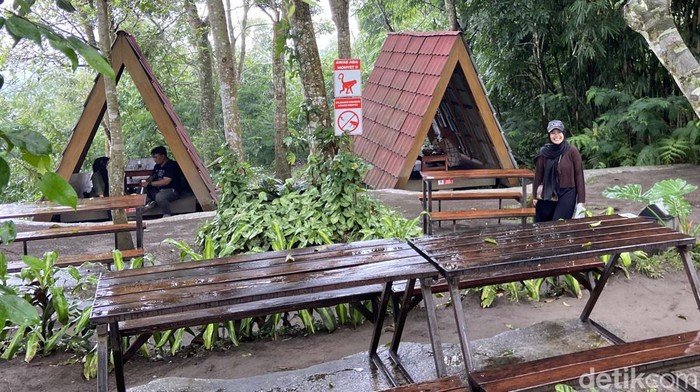 Pesona Tankaman Natural Park, Aktivitas Seru dengan Pemandangan Bukit Hijau