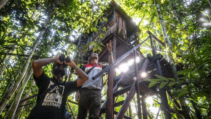 Eksplorasi Migas Berkelanjutan di Ujung Timur Indonesia