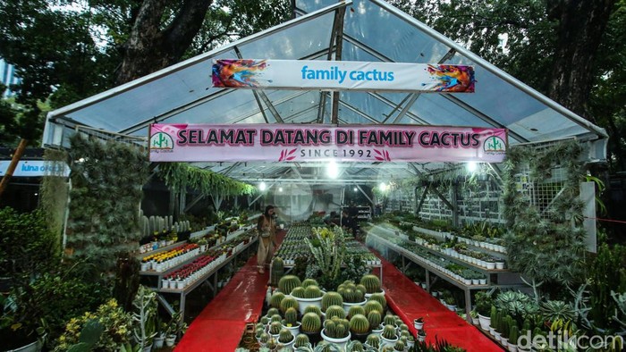 Hujan Tak Surutkan Semangat Warga Kunjungi Pameran Flona 2024 Hujan Tak Surutkan Semangat Warga Kunjungi Pameran Flona 2024