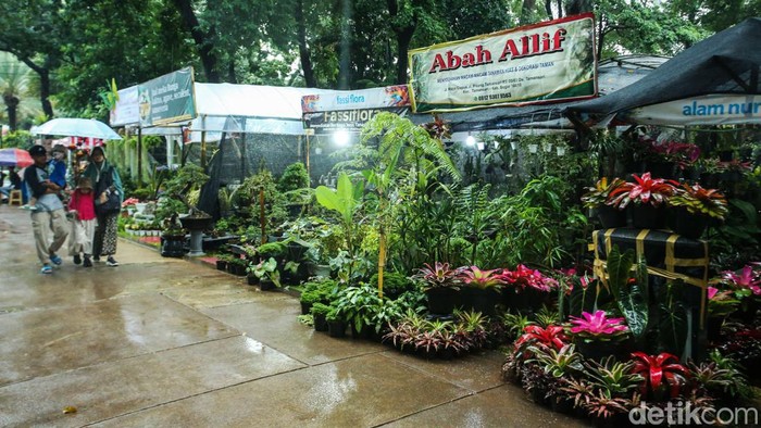 Hujan Tak Surutkan Semangat Warga Kunjungi Pameran Flona 2024 Hujan Tak Surutkan Semangat Warga Kunjungi Pameran Flona 2024