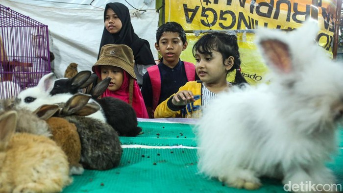 Hujan Tak Surutkan Semangat Warga Kunjungi Pameran Flona 2024 Hujan Tak Surutkan Semangat Warga Kunjungi Pameran Flona 2024
