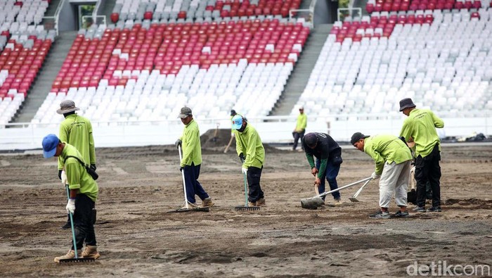 Melihat Progres Revitalisasi Rumput Stadion GBK