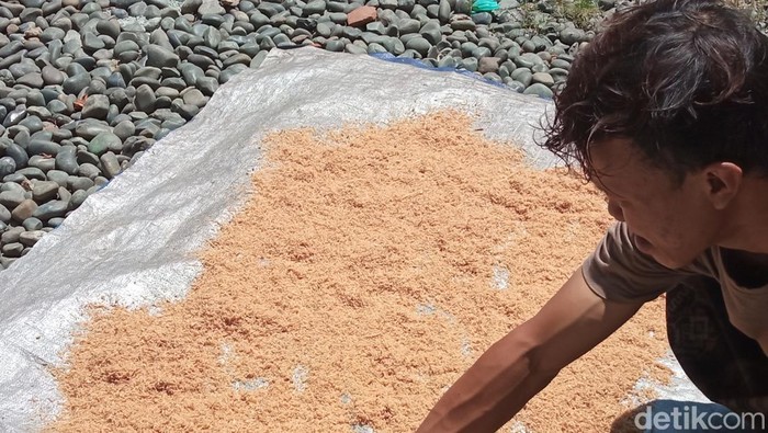 Potret Pembuatan Ukup, Pengharum Ruangan di Keraton Kacirebonan