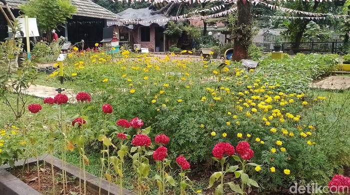 Melihat Destinasi Edukasi Taman Wisata Lebah Jakarta Timur