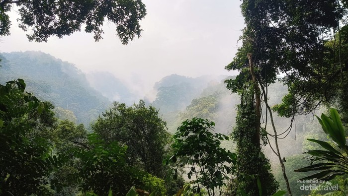 Trekking Seru dan Menantang Menuju Curug Lawe di Semarang