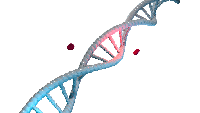 Apa Itu DNA? Ini Struktur, Komponen, Fungsi-Perbedaannya Dengan RNA
