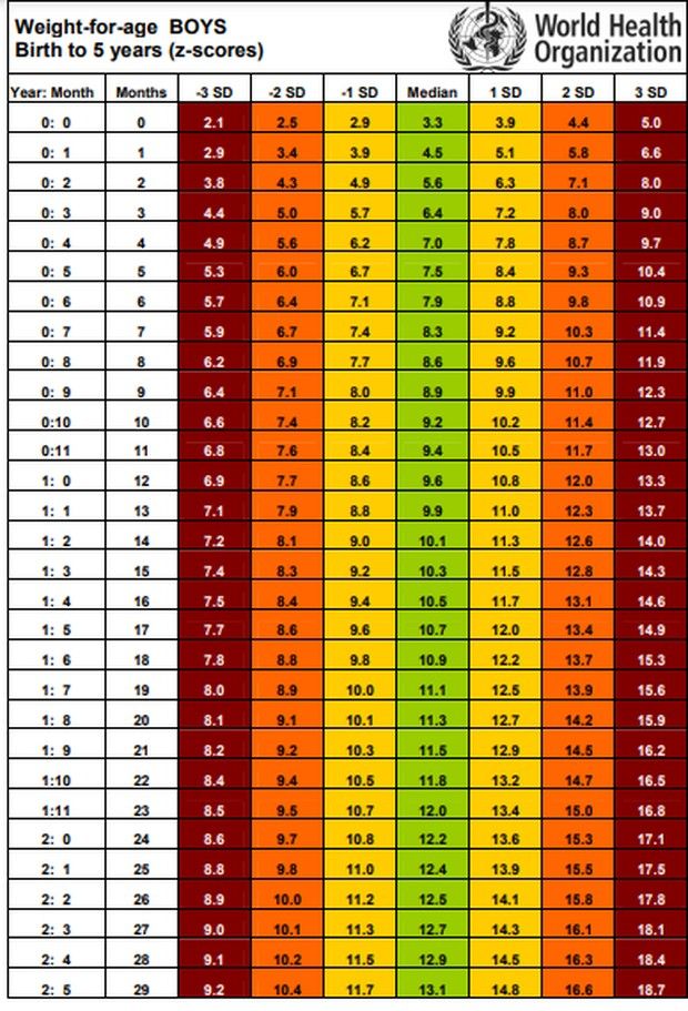 Tabel Berat Badan Anak Usia 1-5 Tahun Menurut WHO, Cek di Sini