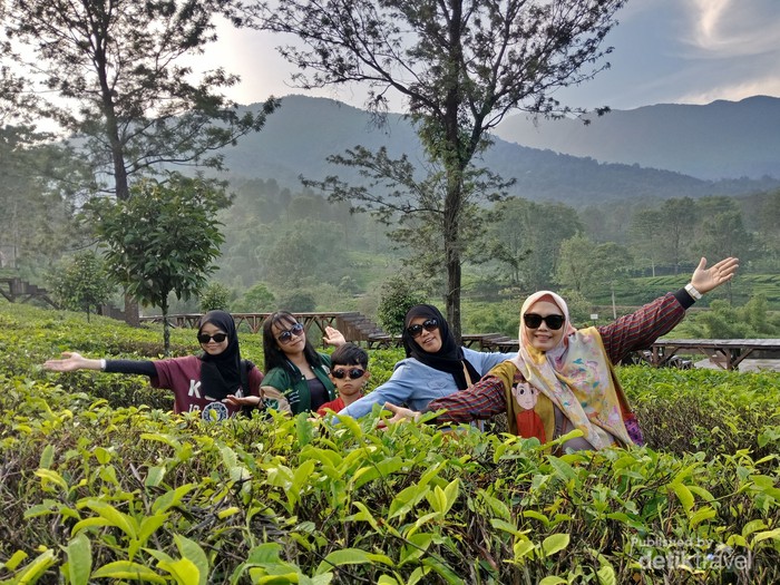Inilah Tempat Menginap dengan Suhu Paling Dingin di Puncak Bogor