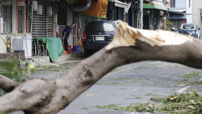 Pohon-pohon Tumbang Diterjang Topan Krathon di Taiwan