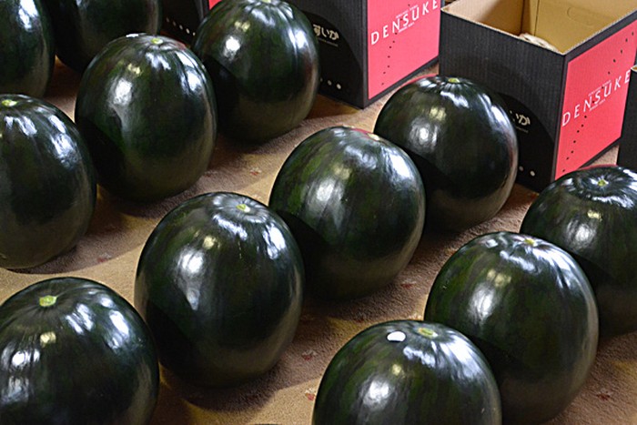 Mewah! Ini 10 Makanan Termahal di Dunia Berharga Fantastis