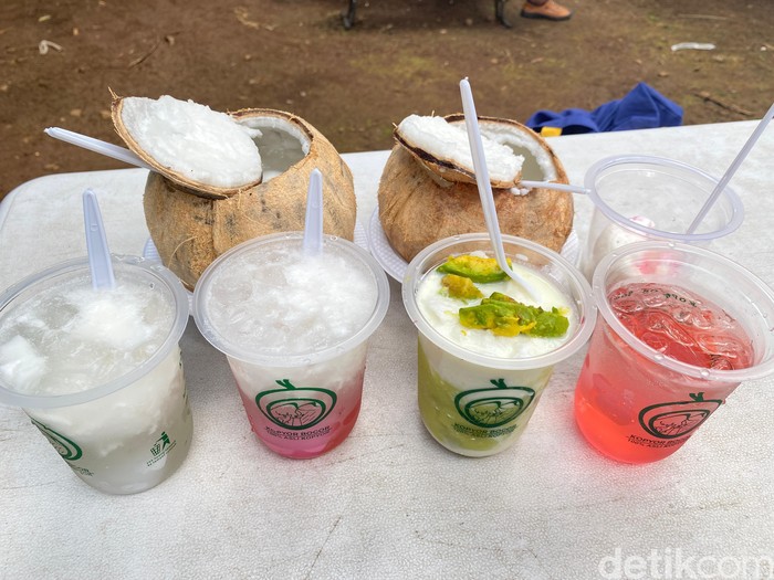 Segarnya Minum Es Kopyor di Tengah Suasana Kebun Asri Bogor