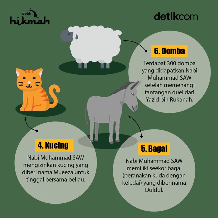 6 Hewan Peliharaan Kesayangan Nabi Muhammad SAW, Ada Kuda hingga Kucing