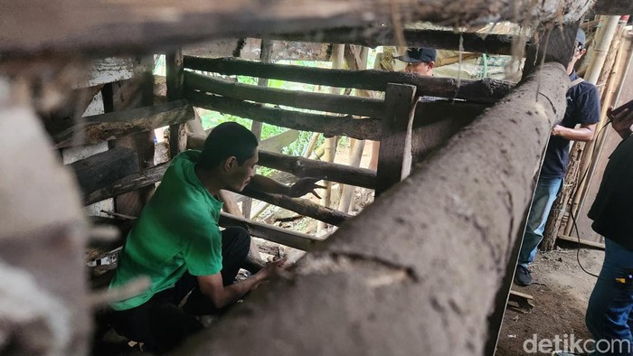 Keluarga Ungkap Latar Belakang Ha dan Sam yang Dikurung di Kandang Keluarga Ungkap Latar Belakang Ha dan Sam yang Dikurung di Kandang