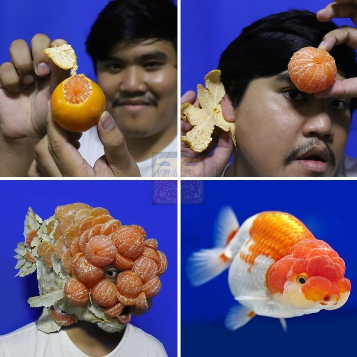 Kreatif! 10 Potret Makanan Hasil Cosplay yang Bikin Ngakak