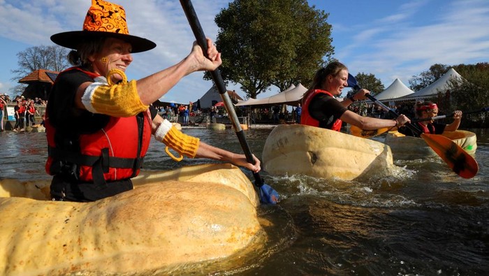 Cuma Ada di Belgia, Lomba Balap Labu Raksasa untuk Rayakan Halloween