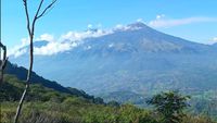 Gunung Bekel Mojokerto: Menyatu dengan Alam di Puncak yang Memukau