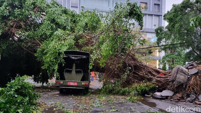 Mobil Satpol PP Surabaya Ringsek Tertimpa Pohon Beringin