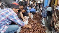 Harga Salak Hanya Rp 500 Per Kg, Petani Banjarnegara Sedekahkan 2 Ton ...