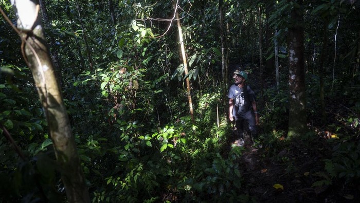 Menjaga Hutan Sumber Kehidupan Suku Moi