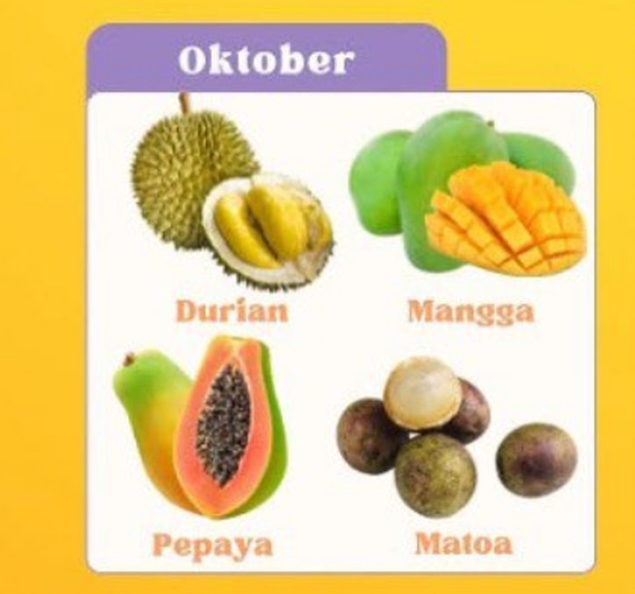 Ini Kalender Musim Buah Lokal Indonesia 2025