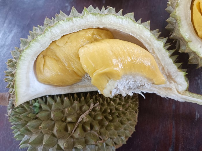 10 Varietas Durian Malaysia, D24 hingga Musang King