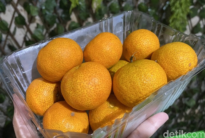 Ini 5 Varietas Jeruk Unik, Ada yang Sekilo Rp 140 Ribu!