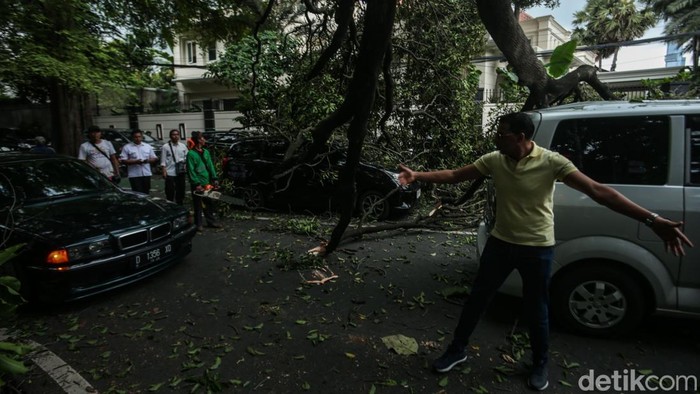 Bruk! 3 Mobil Ringsek Tertimpa Pohon Tumbang di Jakpus