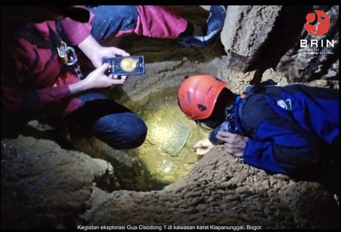 Potret Spesies Baru Ikan Wader Buta dari Gua Bogor: Barbodes ...
