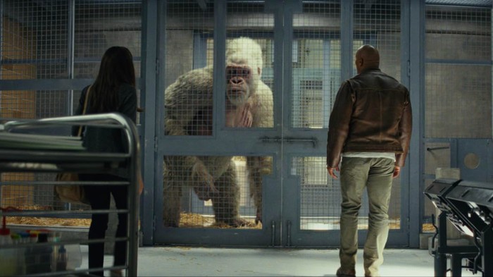 Sinopsis Film Rampage: Misi Menyelamatkan Kota dari Monster Buas