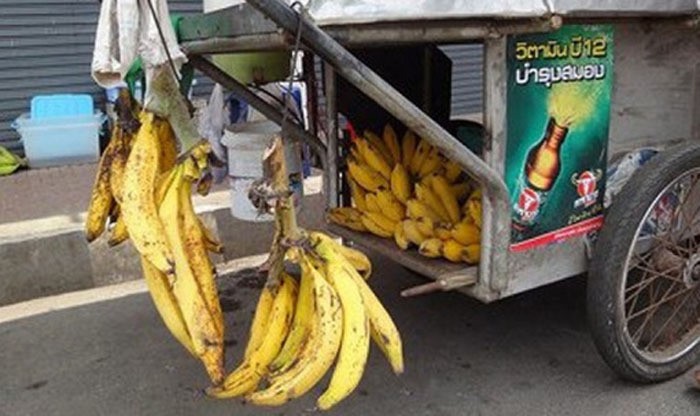 10 Varietas Pisang Unik yang Termasuk Langka di Dunia