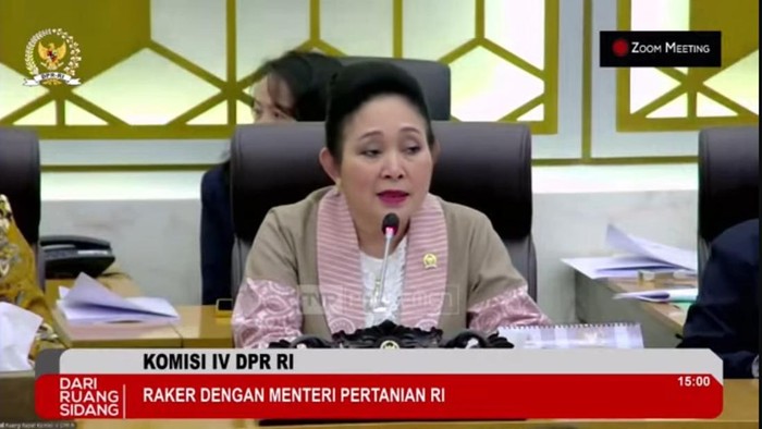 Titiek Soeharto Temukan Beras Impor Berkutu Saat Cek Gudang Bulog Titiek Soeharto Temukan Beras Impor Berkutu Saat Cek Gudang Bulog