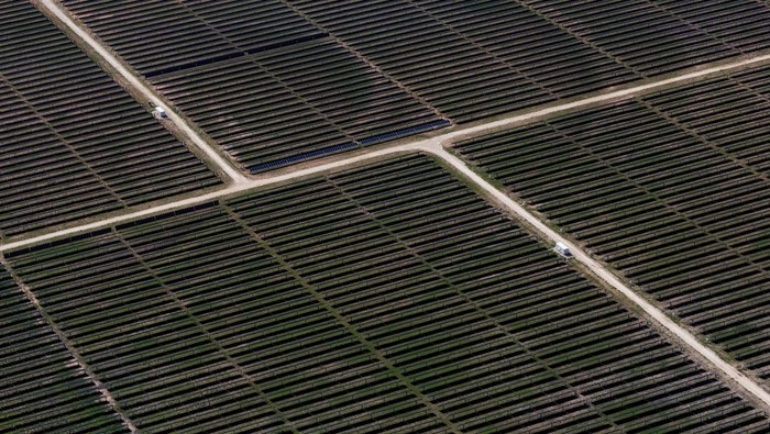 Melihat Ladang Panel Surya Anson Texas