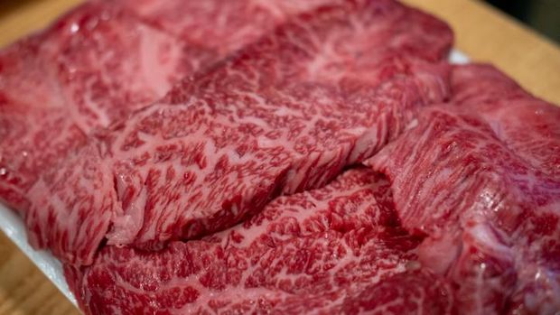 Tokyo, Osaka hingga Kyoto Sudah Padat Wisatawan, Kobe Bisa Jadi Solusi
