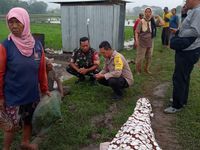 Lagi! Lansia Tewas Kena Jebakan Tikus di Madiun