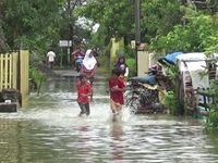 Sepekan Banjir Rob Rendam Desa Tunggulsari Pati