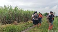 Misteri Tewasnya Santi di Kebun Tebu Usai Dijemput Teman Pria