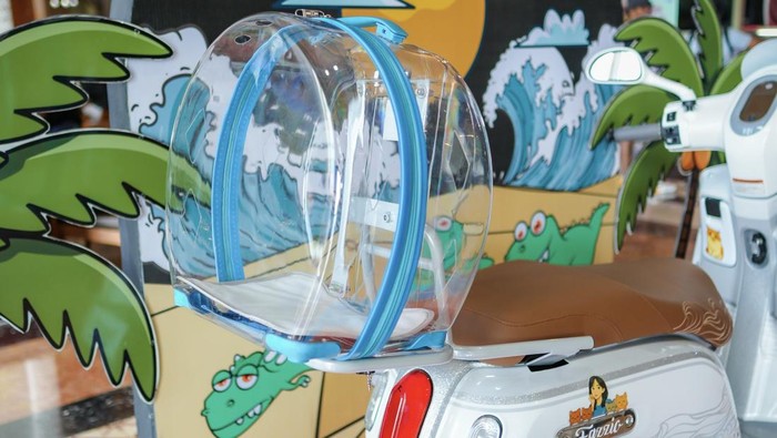 Wujud Fazzio Kalcer Kesukaan Zee JKT48, Manis nan Imut!