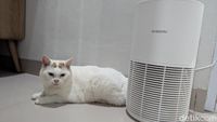 Review Xiaomi Smart Pet Care Air Purifier: Majikan Sehat, Anabul Tenang