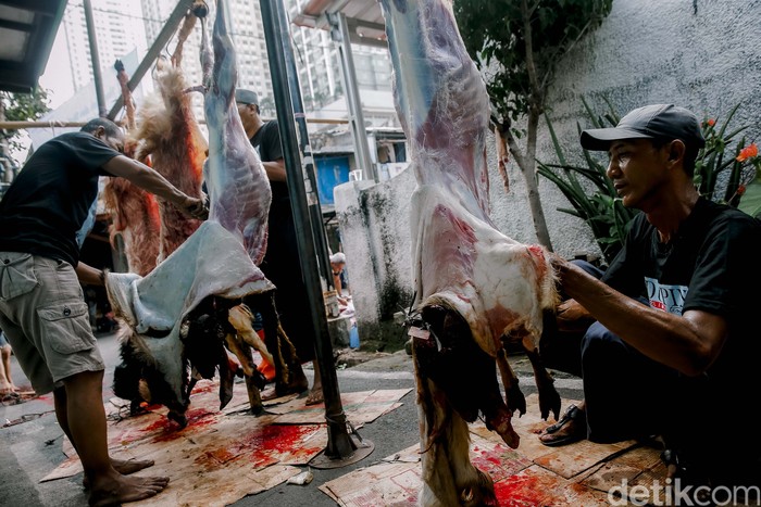 Waspada Kolesterol-Asam Urat, Kenali Tanda-tanda Kebanyakan Makan Daging