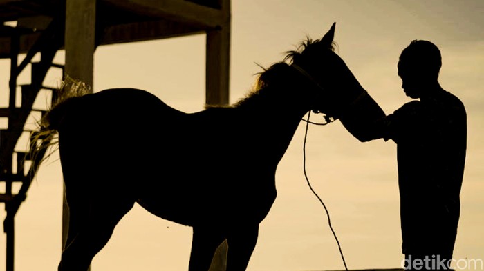 Wini dalam Tiga Irama: Tenun, Tari, dan Kuda Pacu