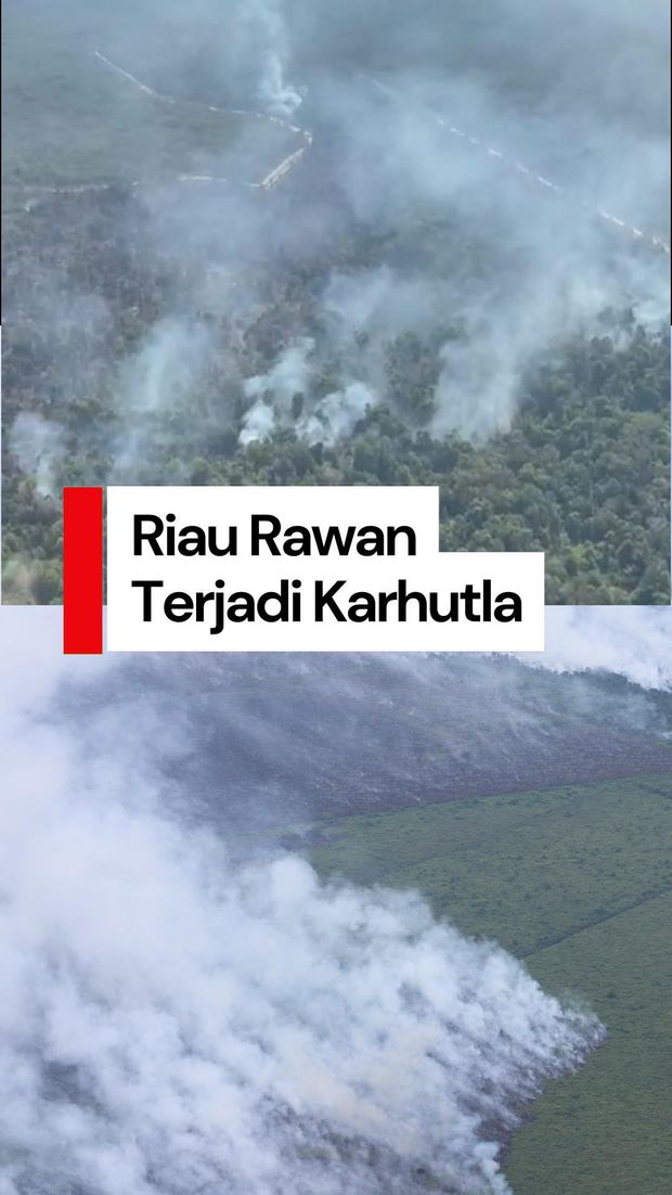 Video: Puncak Kemarau Riau Bakal Terjadi Juli, Potensi Karhutla Meningkat