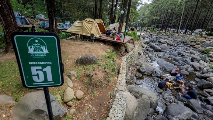 Pesona Hutan Pinus Jolotundo, Destinasi Alam Favorit di Lereng Gunung Wilis