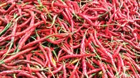 Harga Sembako Jawa Timur 28 September 2025, Harga Cabe Merah Keriting ...