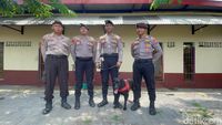 Cerita Ketty Anjing K-9 Ikut Ungkap Kasus Mutilasi Tiara
