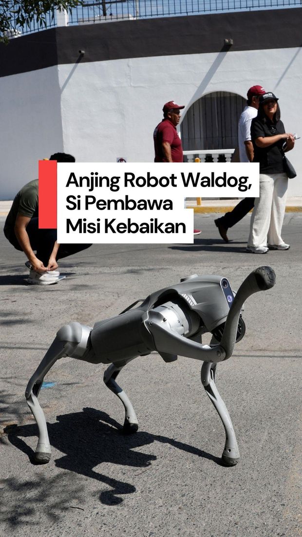Video Anjing Robot Pembawa Misi Kebaikan di Jalanan, Intip Aksinya