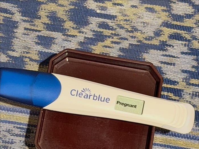 Ferry Salim OTW Jadi Kakek! Istri Brandon Salim Hamil Anak Pertama