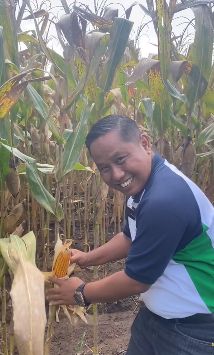 Banting Setir Jadi Petani, Narji: Jangan Pandang Sebelah Mata!