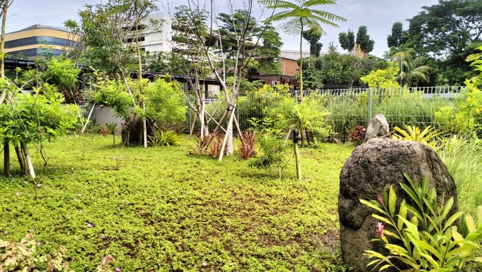 Potret Serbaraja Toll Park, Hidden Gem Hijau buat Jogging di BSD