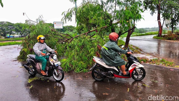 Hujan Angin Robohkan Pohon di Harapan Indah, Pengendara Lewati Celah Sempit